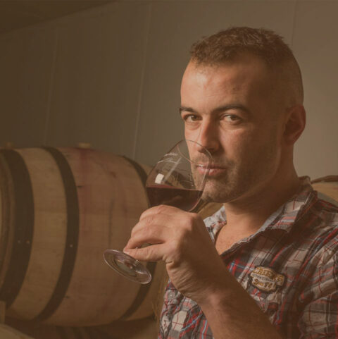 Le Domaine - Domaine Bertrand DAVID